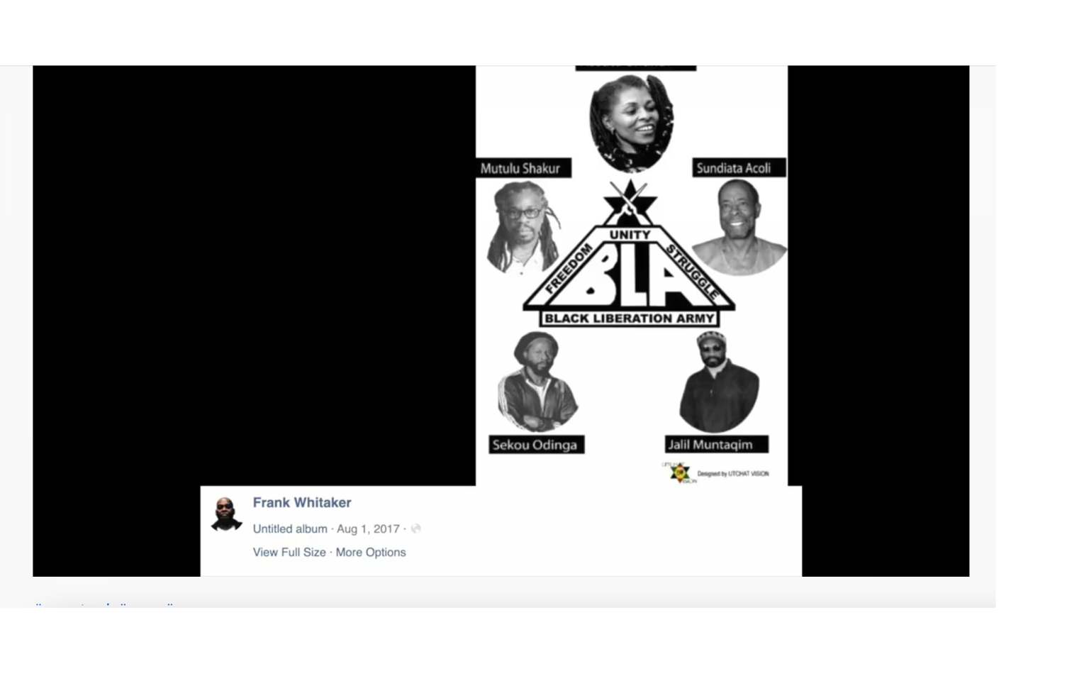 Frank R. James and The Black Liberation Army (BLA) Resurgence Behind ...